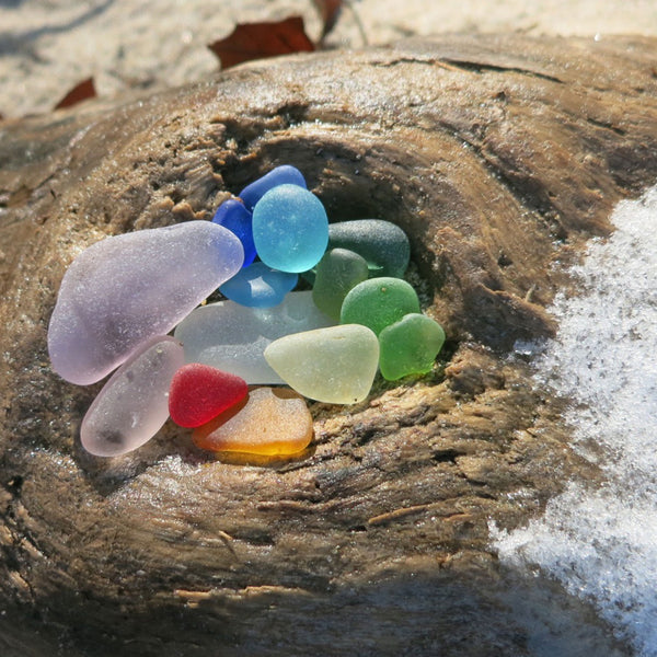 Beachcombing Volume 33: November/December 2022 – Beachcombing Magazine