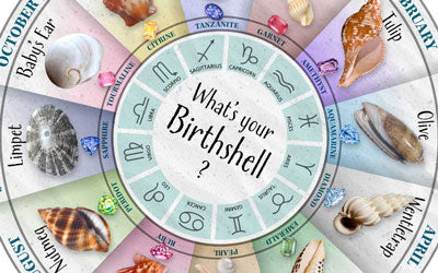 Do you know your Birthshell? – Beachcombing Magazine