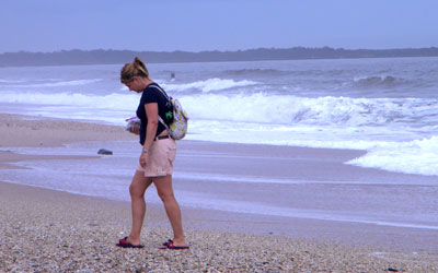 Hidden Beauty: Quahog Shells – Beachcombing Magazine