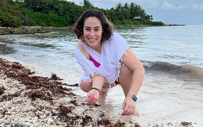 Searching for Seashells – Beachcombing Magazine