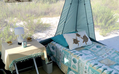 Shell Camp – Beachcombing Magazine