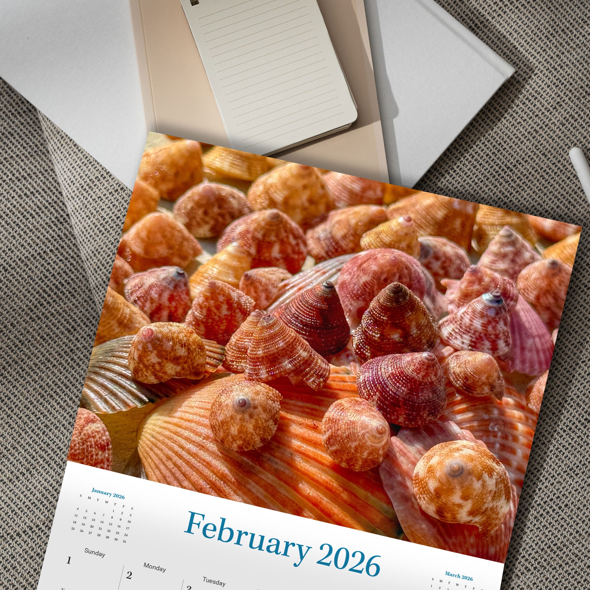 Beachcombing 2026 Calendar – Beachcombing Magazine