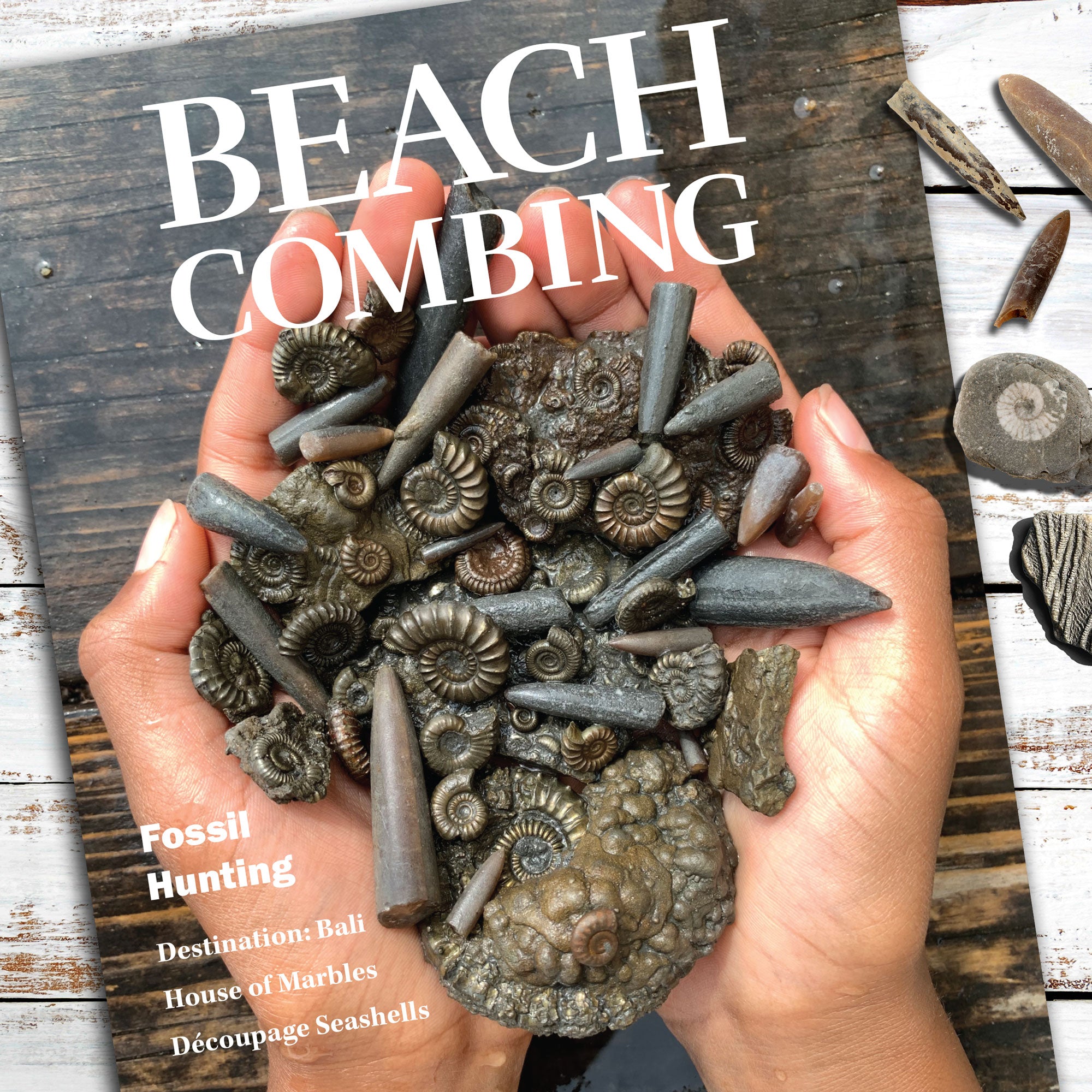 Beachcombing Volume 40: January/February 2024 – Beachcombing Magazine