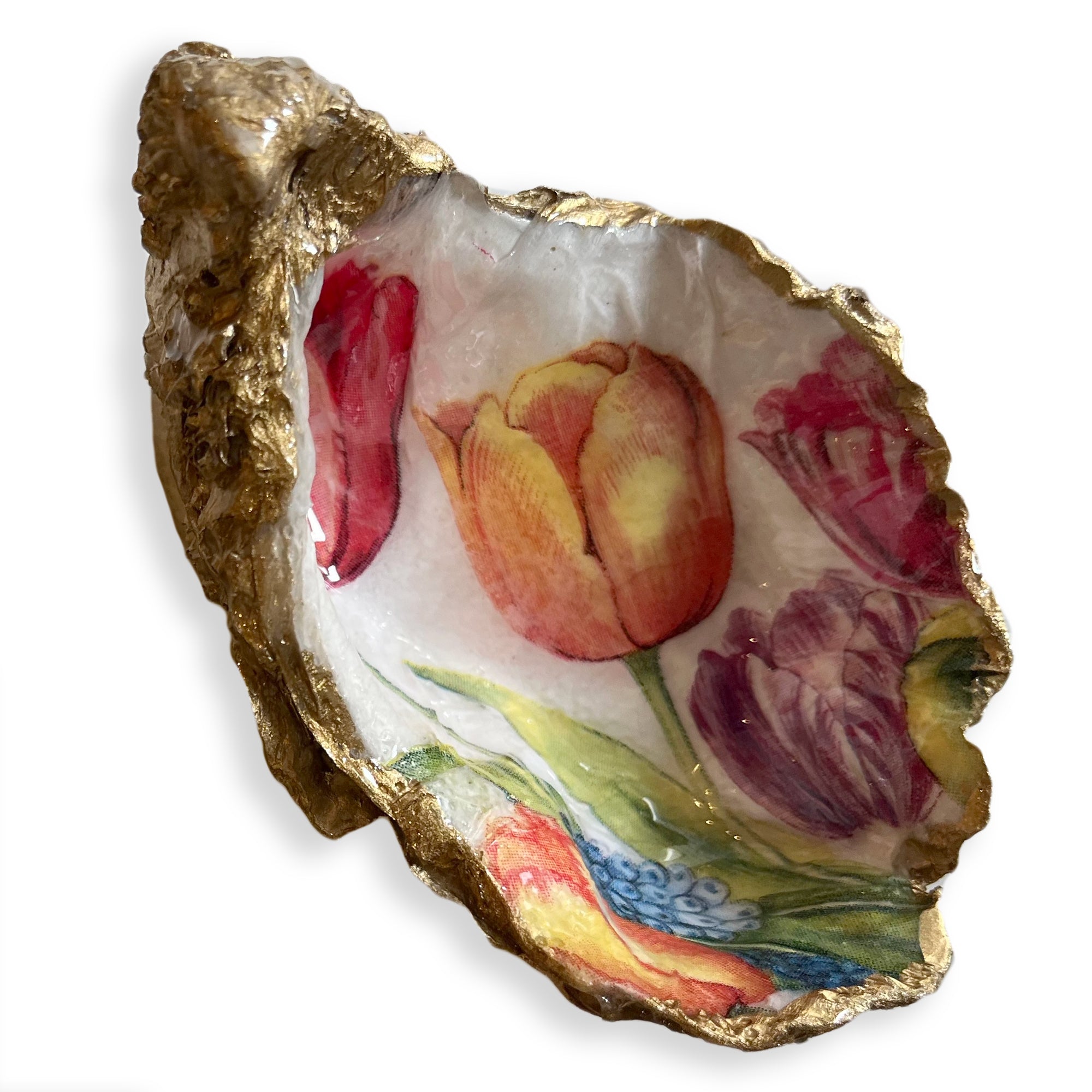 Beachcombing Volume 40: January/February 2024 – Beachcombing Magazine