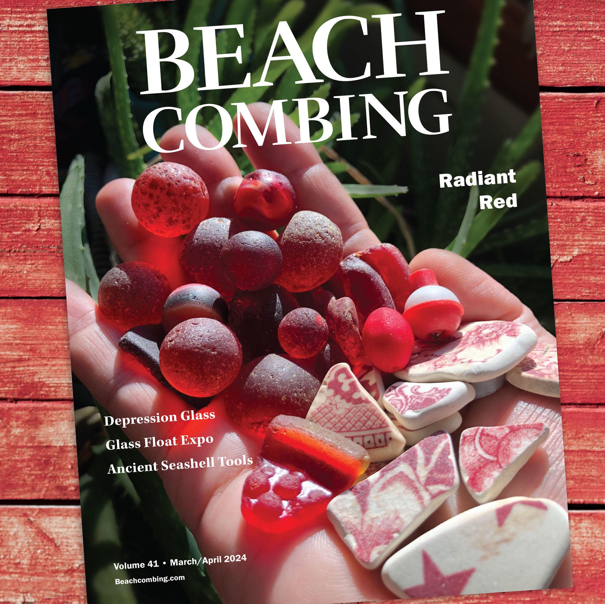 Beachcombing Volume 41: March/April 2024 – Beachcombing Magazine