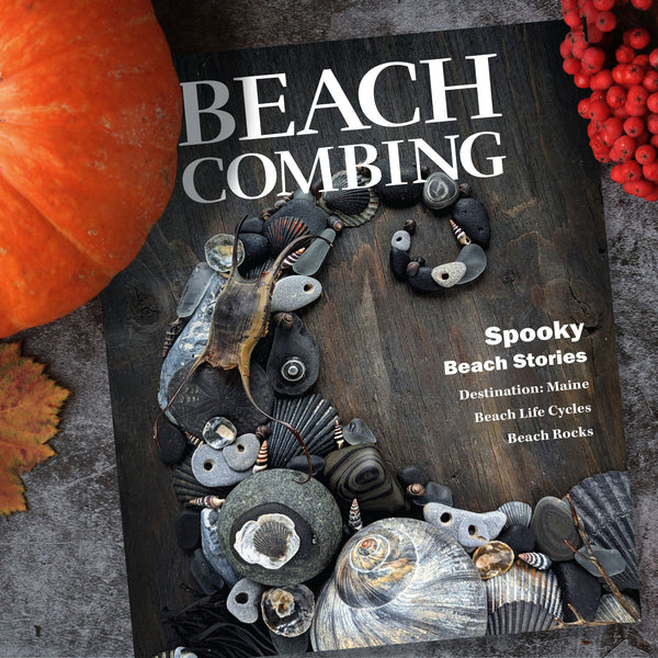 Beachcombing Volume 38: September/October 2023 – Beachcombing Magazine