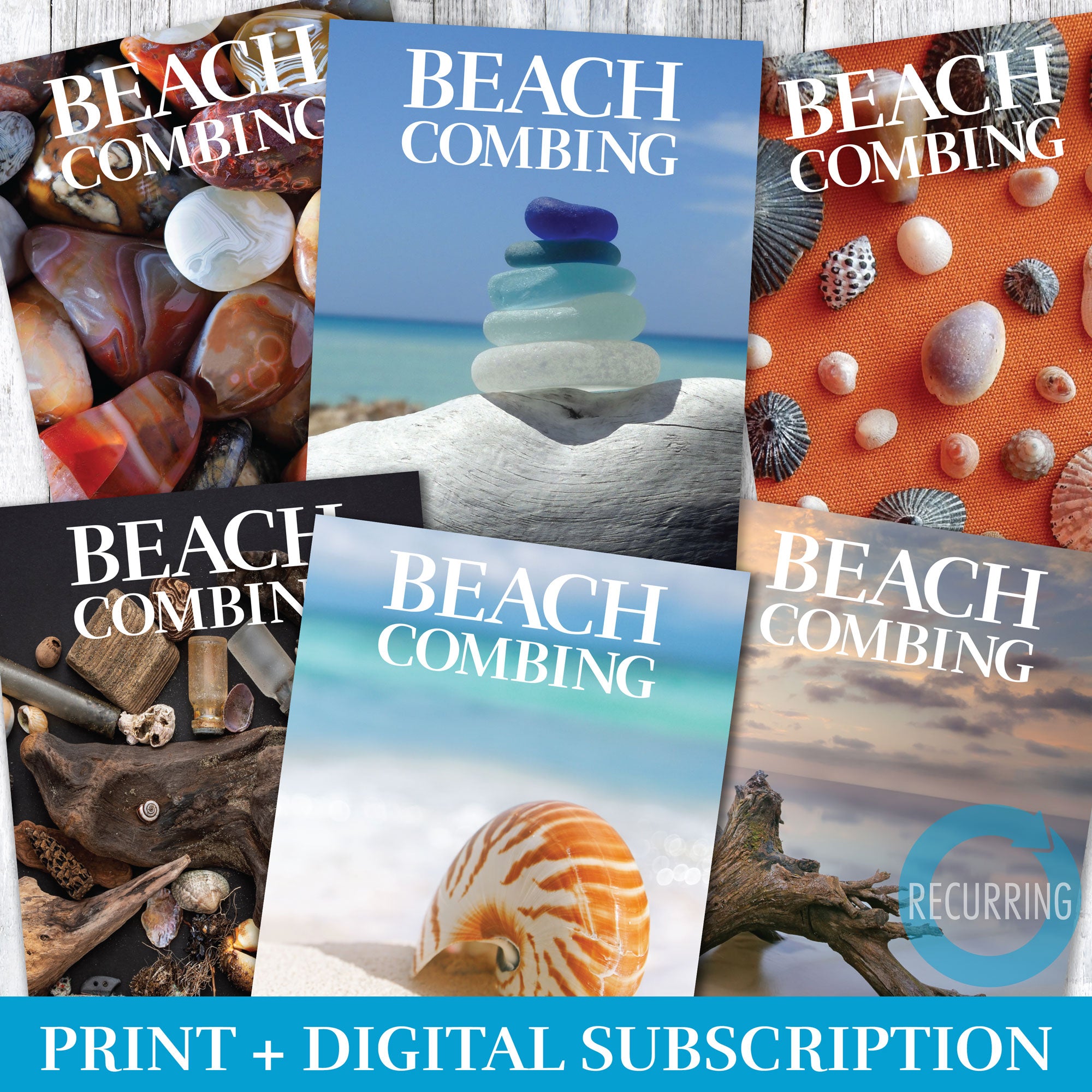 Beachcombing Print+Digital Subscription – Beachcombing Magazine