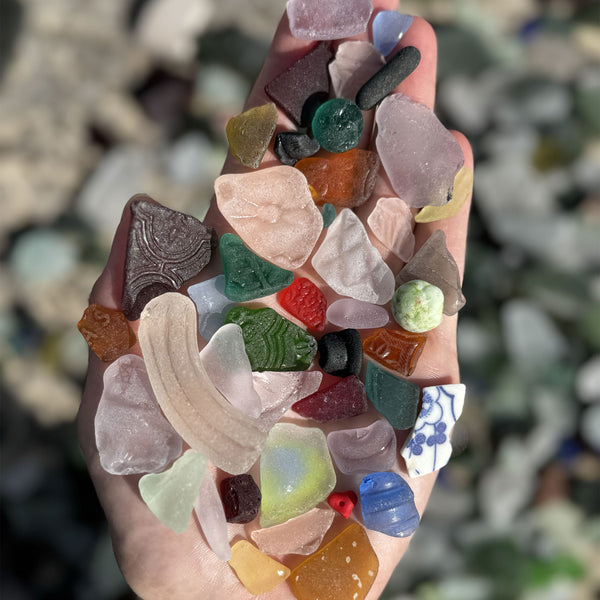 Beachcombing Volume 46: January/February 2025 – Beachcombing Magazine