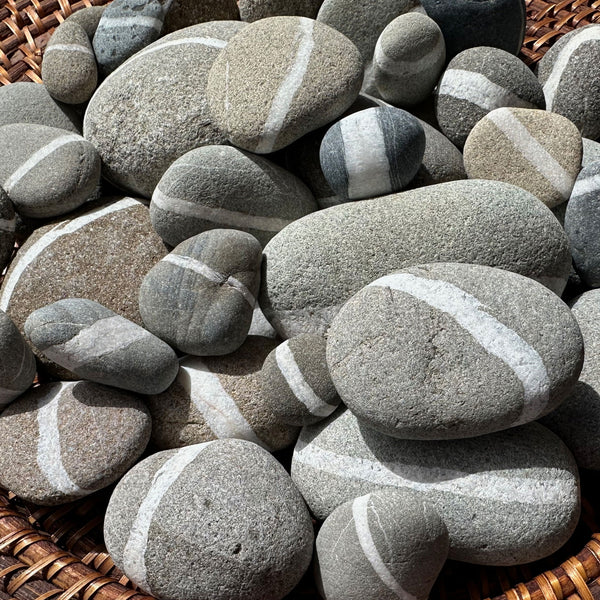 Beachcombing Volume 43: July/August 2024 – Beachcombing Magazine