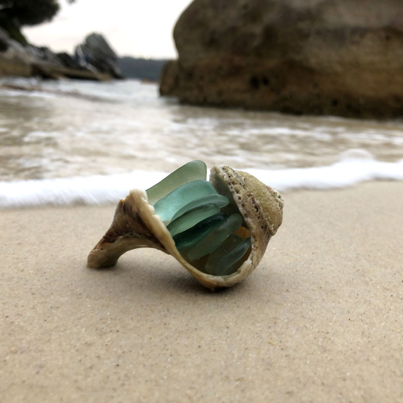 Beachcombing Volume 21: November/December 2020 – Beachcombing Magazine
