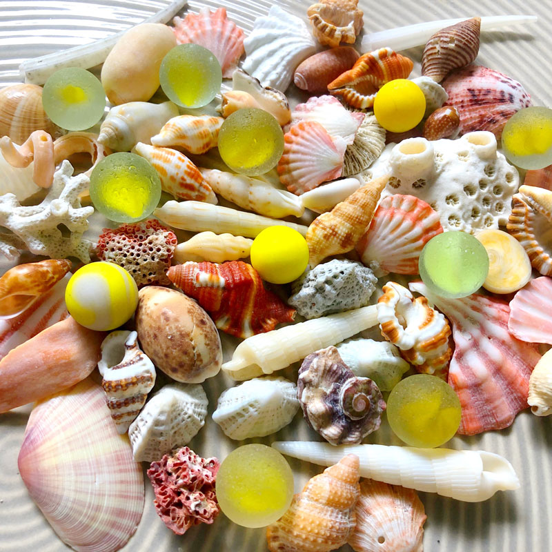 Beachcombing Volume 20: September/October 2020 – Beachcombing Magazine