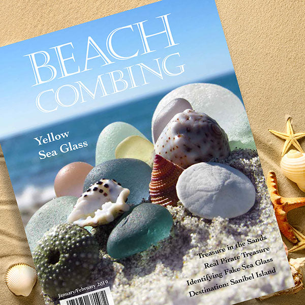 Beachcombing Volume 10: January/February 2019 – Beachcombing Magazine
