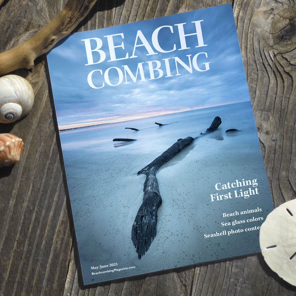 Beachcombing Volume 24: May/June 2021 – Beachcombing Magazine
