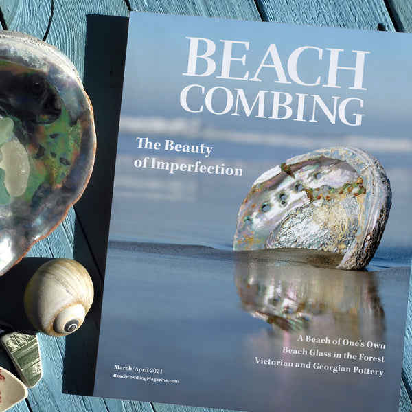Beachcombing Volume 23: March/April 2021 – Beachcombing Magazine