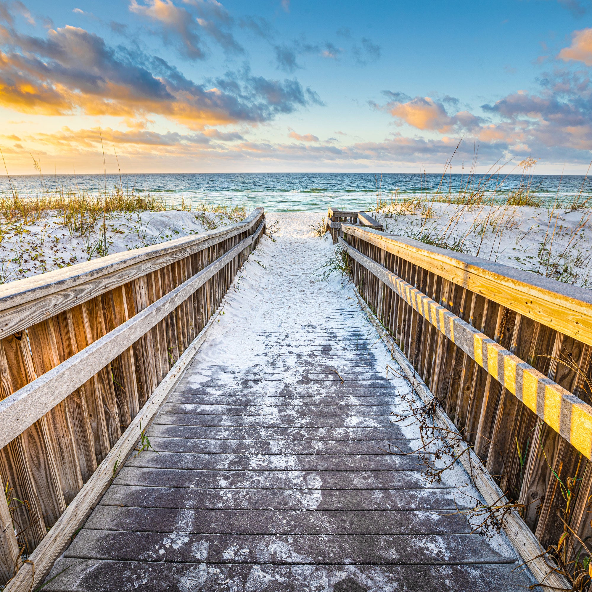 Beachcombing Volume 24: May/June 2021 – Beachcombing Magazine