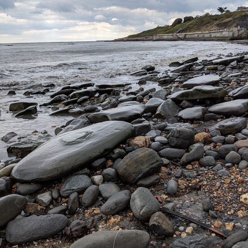 Beachcombing Volume 23: March/April 2021 – Beachcombing Magazine