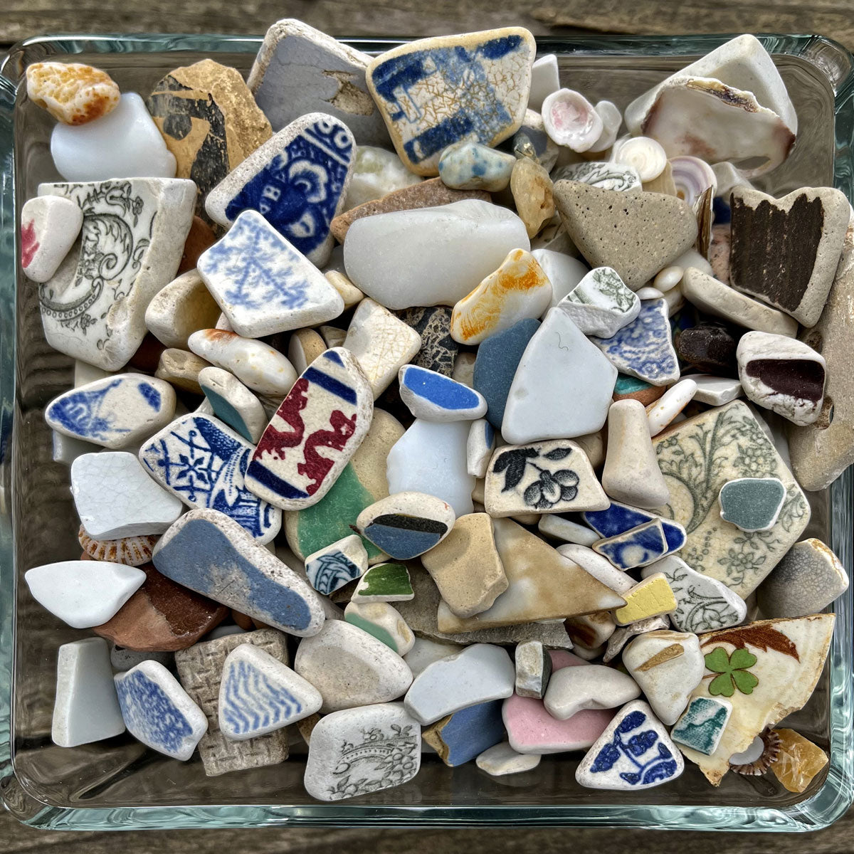 Beachcombing Volume 35: March/April 2023 – Beachcombing Magazine