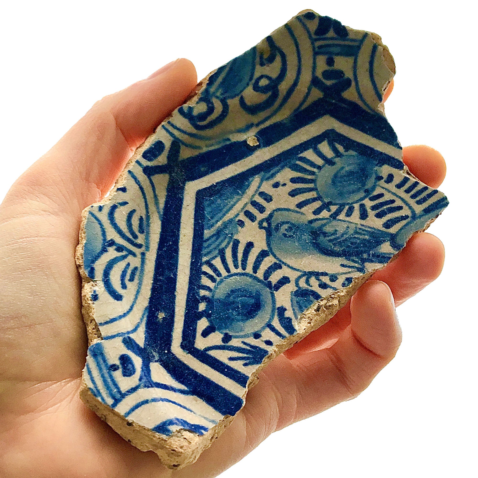 Beachcombing Volume 24: May/June 2021 – Beachcombing Magazine