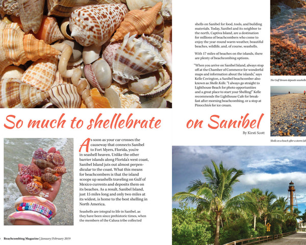 Beachcombing Print+Digital Subscription – Beachcombing Magazine