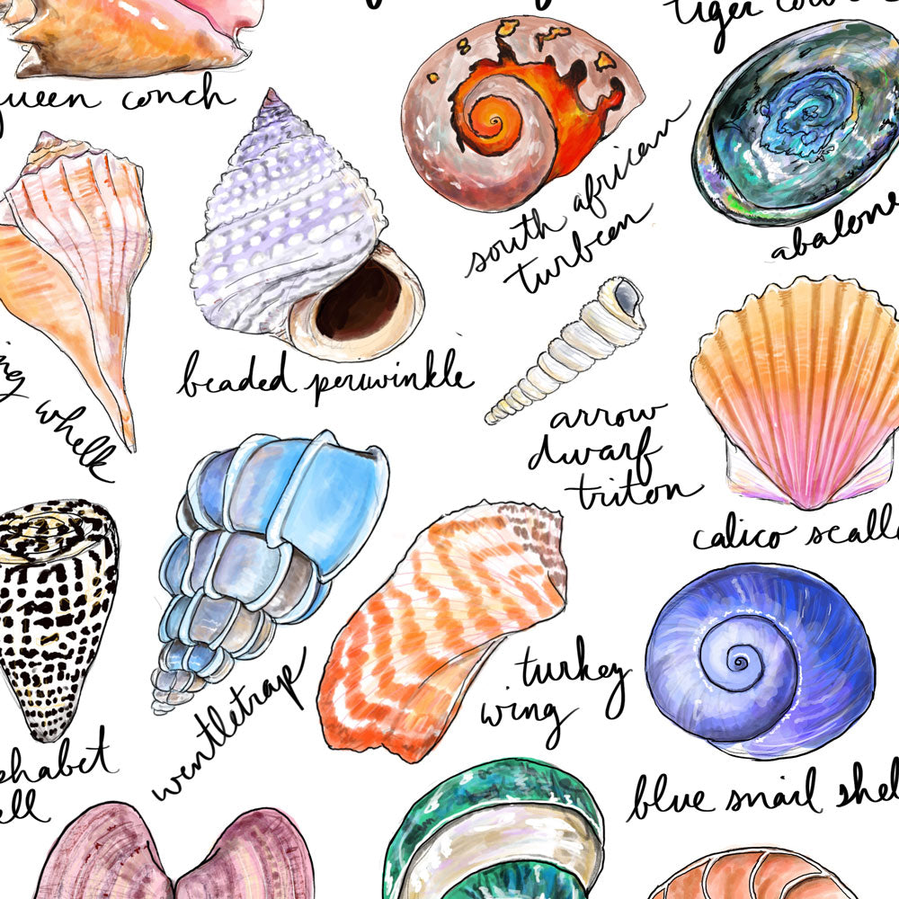 Beachcombing Volume 25: July/August 2021 – Beachcombing Magazine